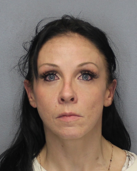 Chemung County Warrants Showcase