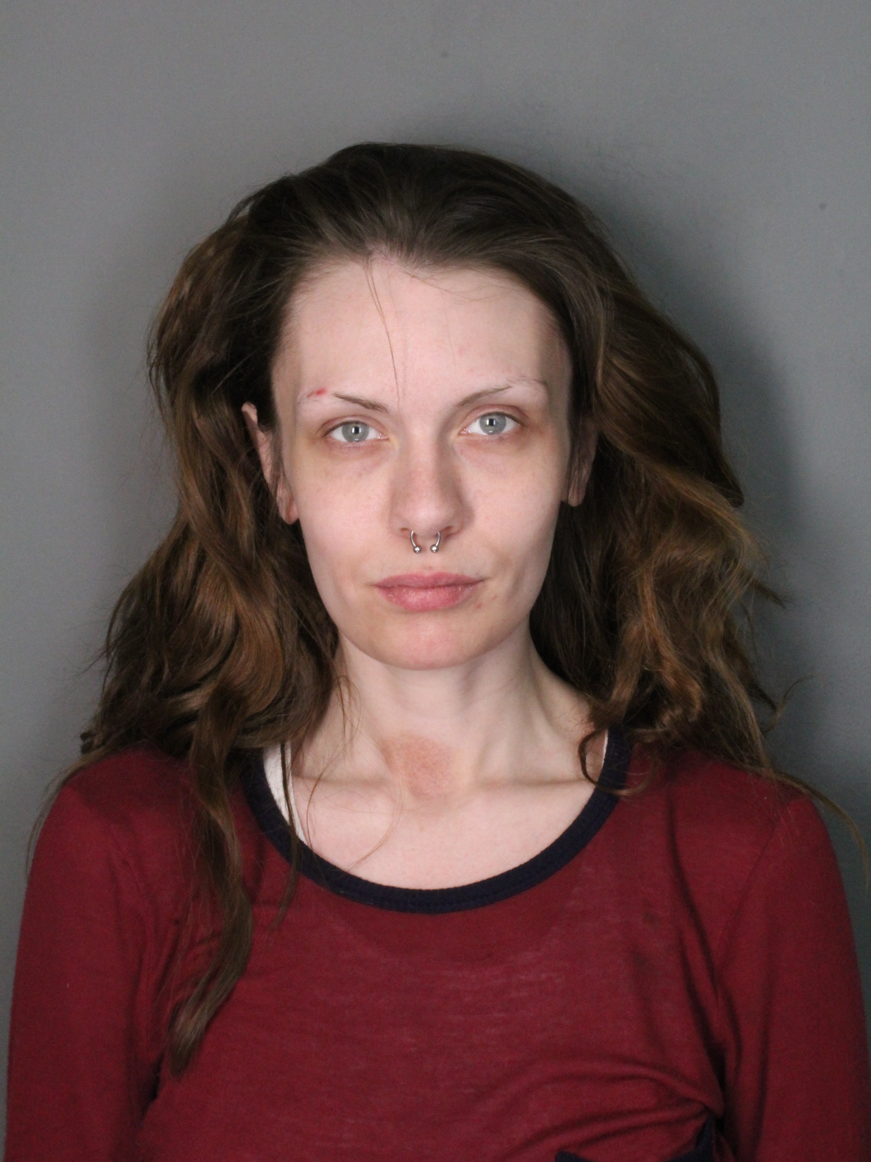 Chemung County Warrants Showcase