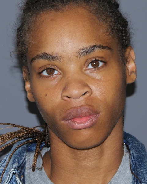 Chemung County Warrants Showcase