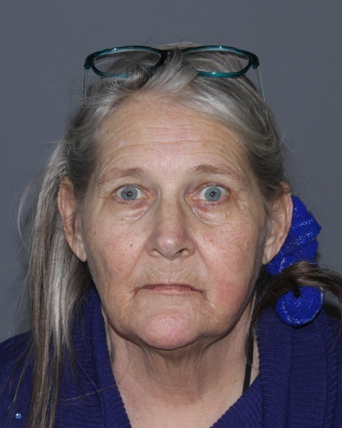 Chemung County Warrants Showcase