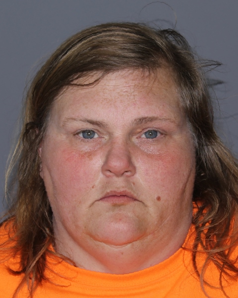 Chemung County Warrants Showcase