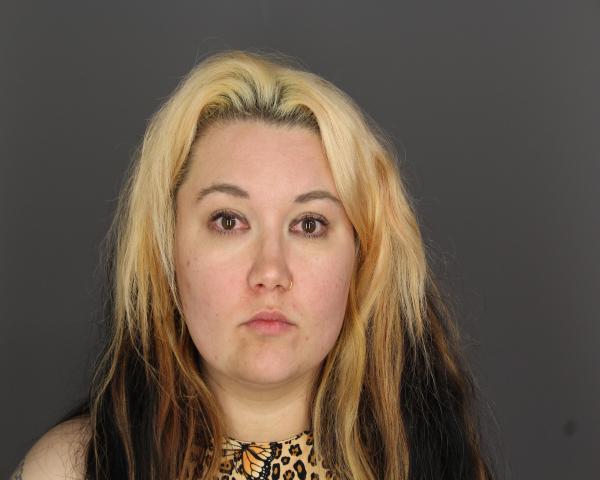 Chemung County Warrants Showcase