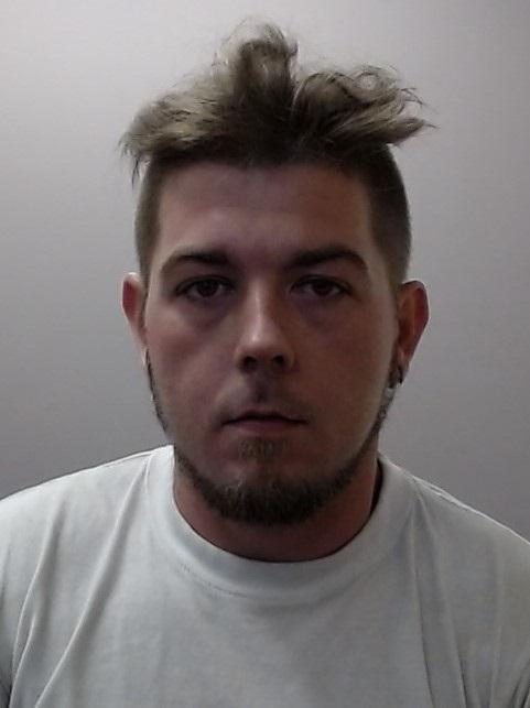 Chemung County Warrants Showcase